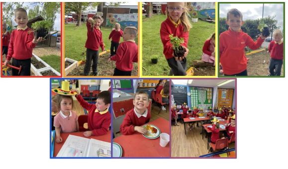 St Athan Primary School Parent Portal - Weekly Newsletter -04/05/22