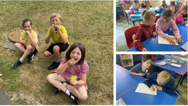 St Athan Primary School Parent Portal - Weekly Newsletter -29/06/22